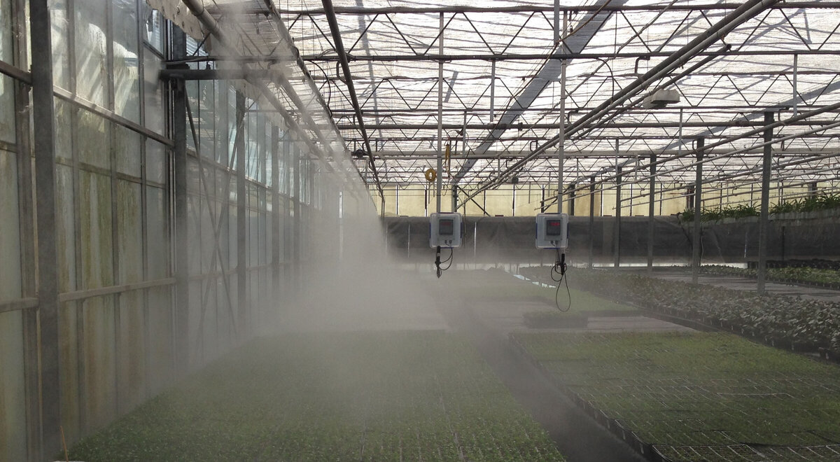 Customised misting solutions for industry, business & home | CoolMist