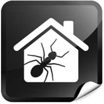 Pest control Cairns - Rental vacate All Pest Control Cairns