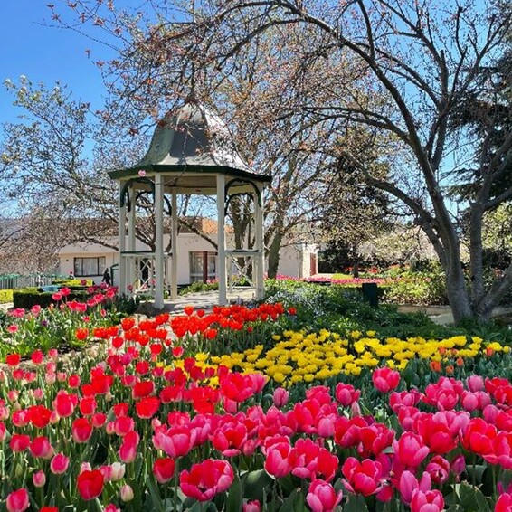 Canberra Floriade Spring Escape |Sid Fogg's Coaches