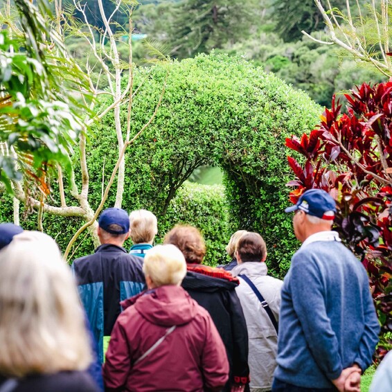 Norfolk Island Escape | Sid Fogg Coaches | Sid Fogg's Coaches