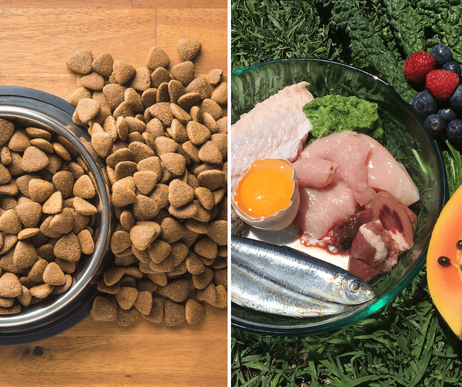Adding Value to Dry Food | Pawsitive Connection