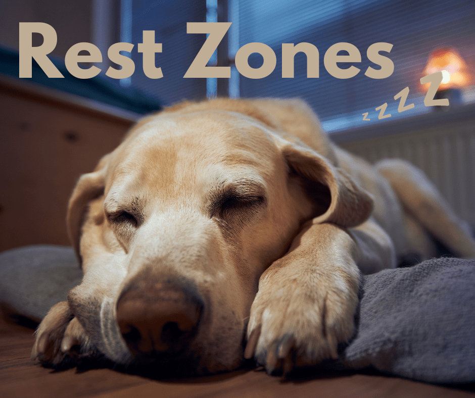 Rest Zones | Pawsitive Connection