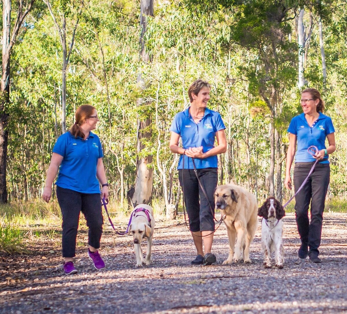 Contact | Pawsitive Connection