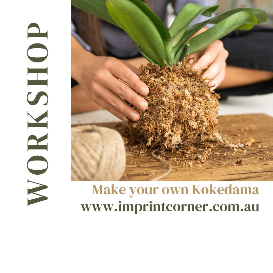 WorkshopGladstone | Imprint Corner