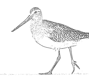 Home | Imprint Corner