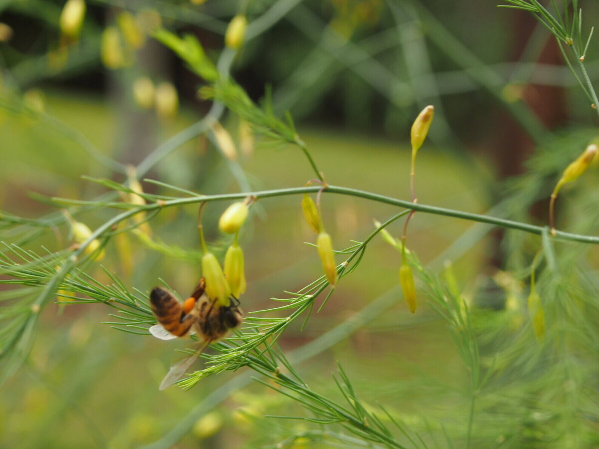 From little things big things grow....