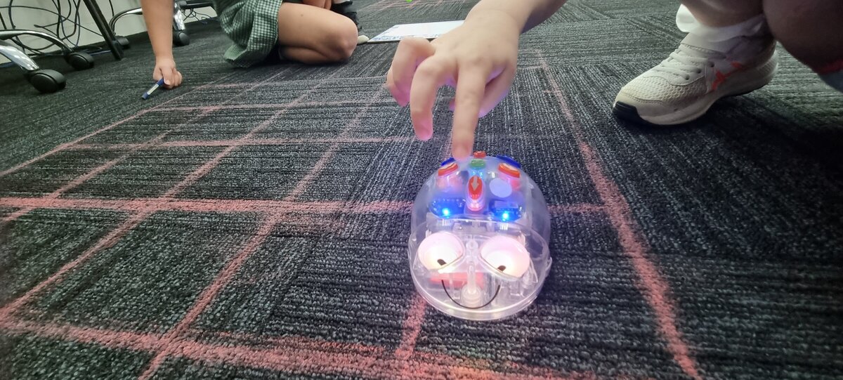 Coding and Robotics | Dromana Primary School