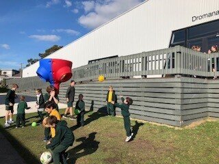 Parents and Friends | Dromana Primary School