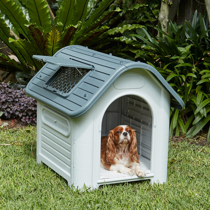 Bushlands Pet Retreat | A kennel (in our kennel) if you wish
