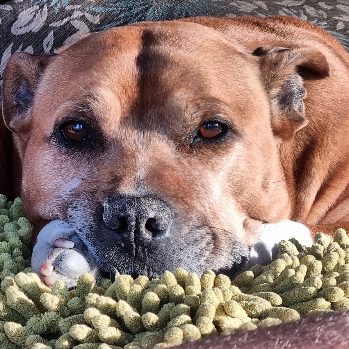 Flaxman Eden Valley Barossa