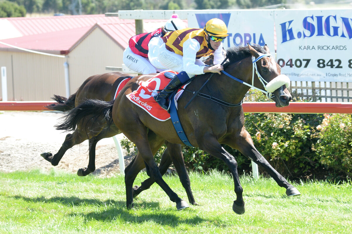 LIME COUNTRY | 2022 Sales