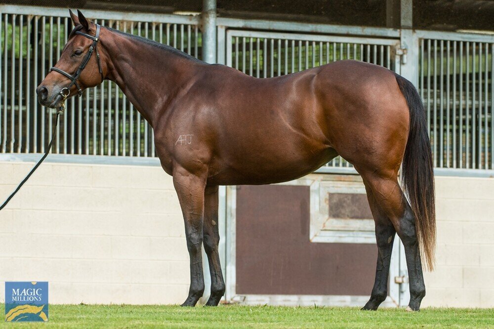 LIME COUNTRY | 2022 Sales