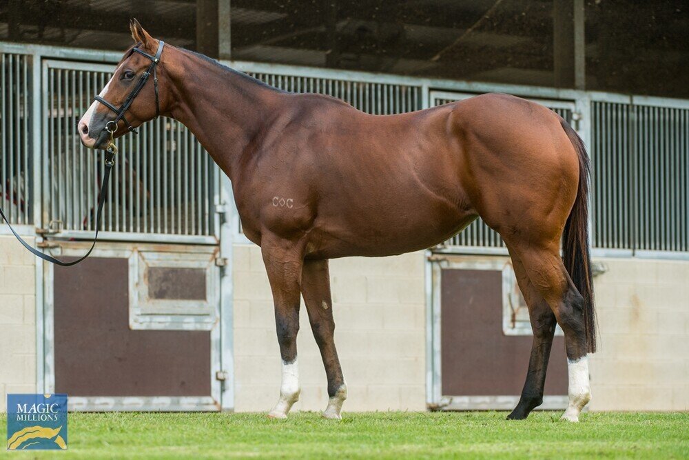 LIME COUNTRY | 2022 Sales