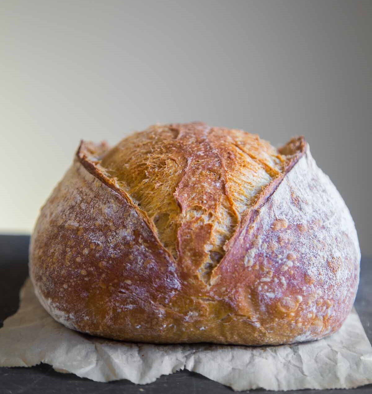 Hervey Bay Sourdough Cheese workshops | Queensland Cheese Artisan ...