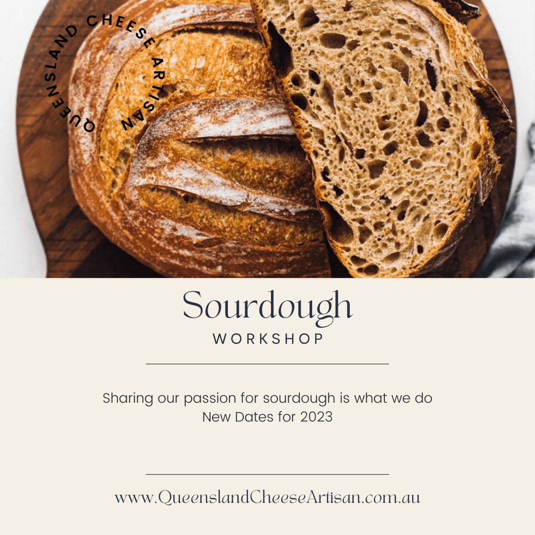 Hervey Bay Sourdough Cheese workshops | Queensland Cheese Artisan ...