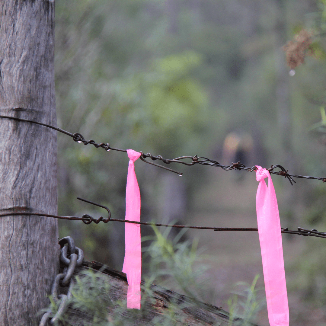 HOME | C2 Operations