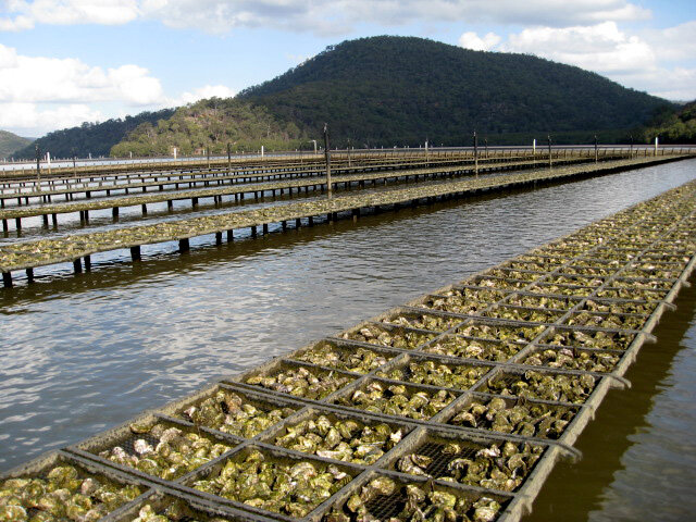 The Aquatray System | Tooltech Plastics Pty Ltd