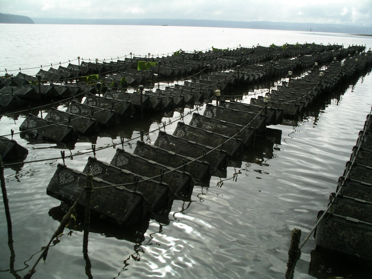 Aquaculture Grow-out Systems | Tooltech Plastics