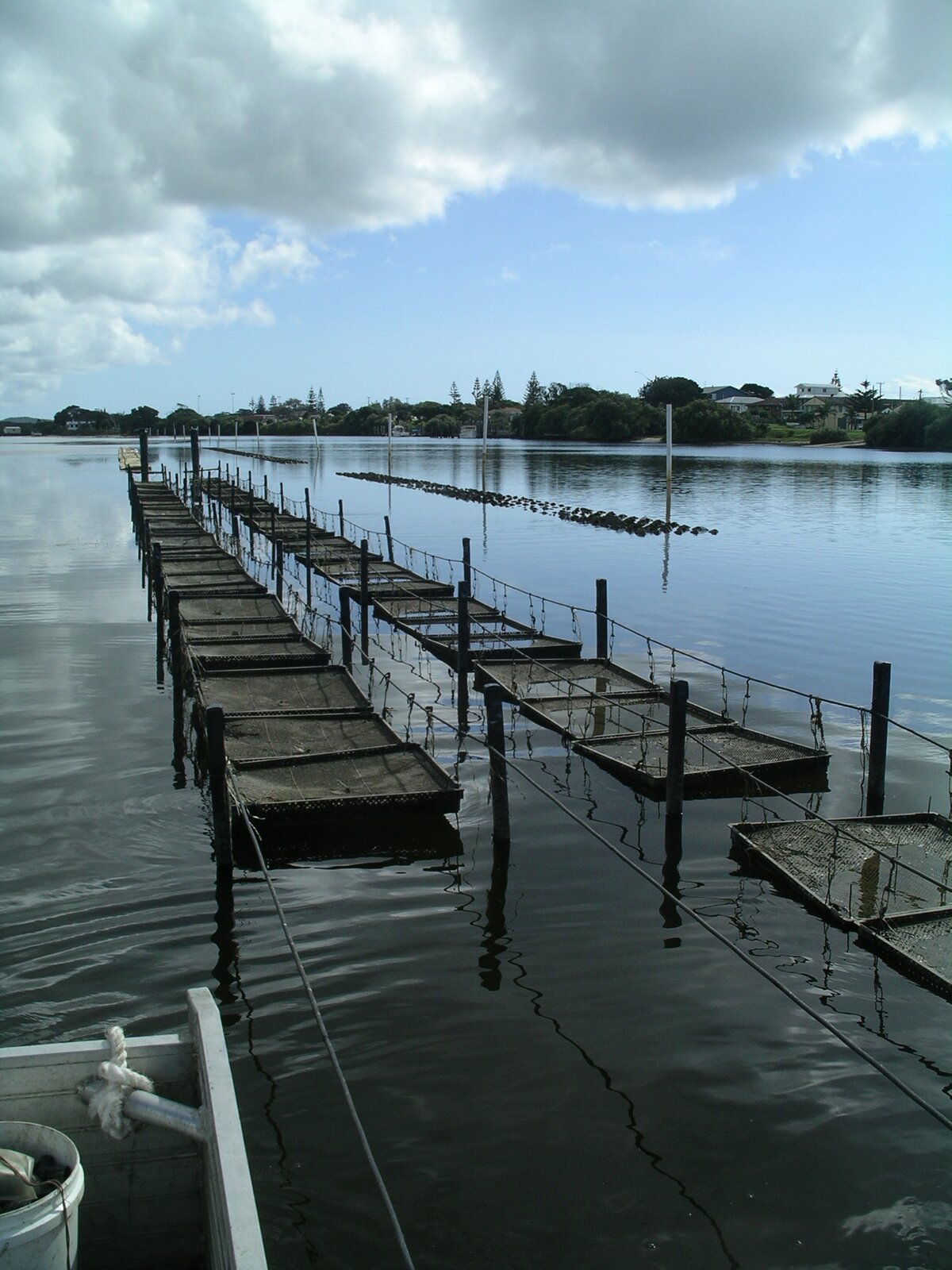 Aquaculture Grow-out Systems | Tooltech Plastics